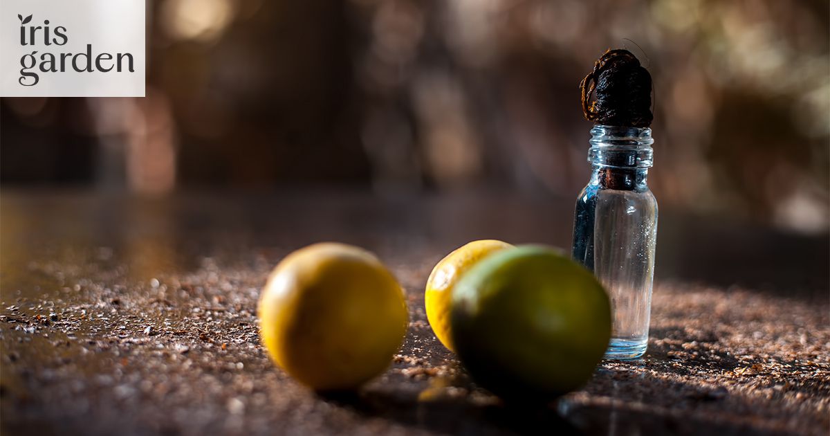 Glycerin for Skin: Benefits and How to Use It | Iris Garden